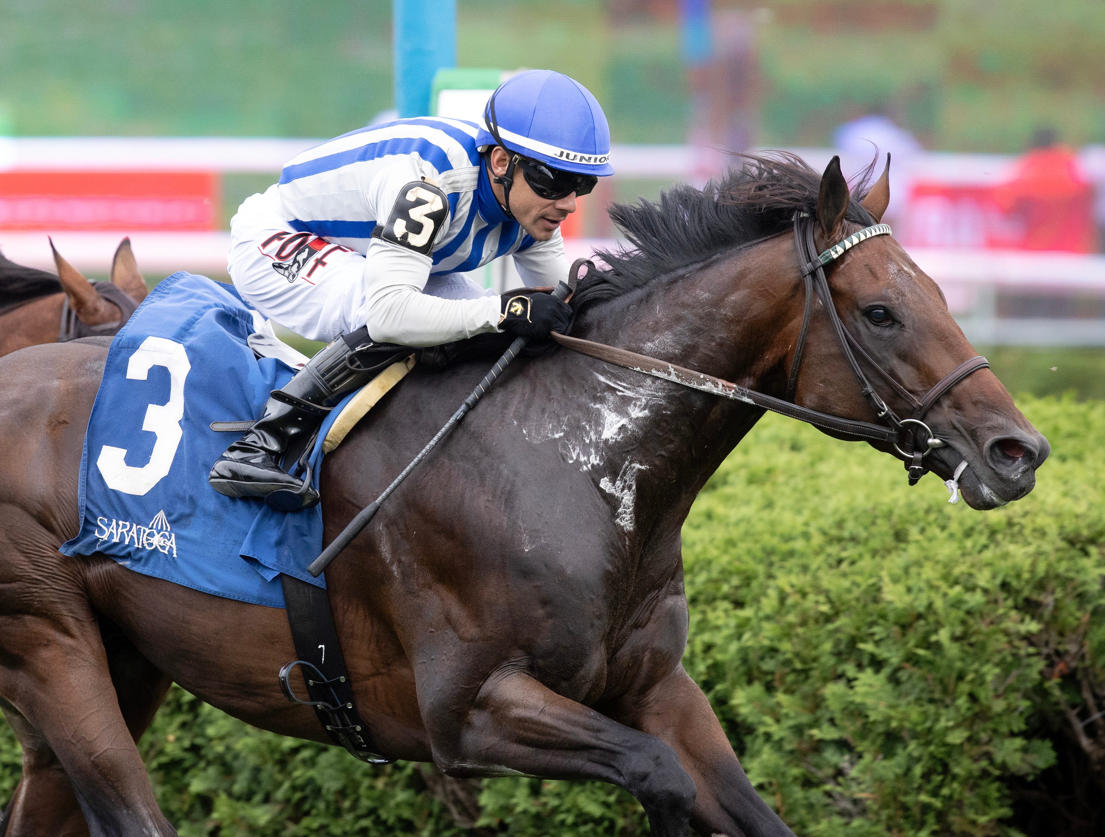 Stars and Strides gives Mott his fifth stakes win of Saratoga meet